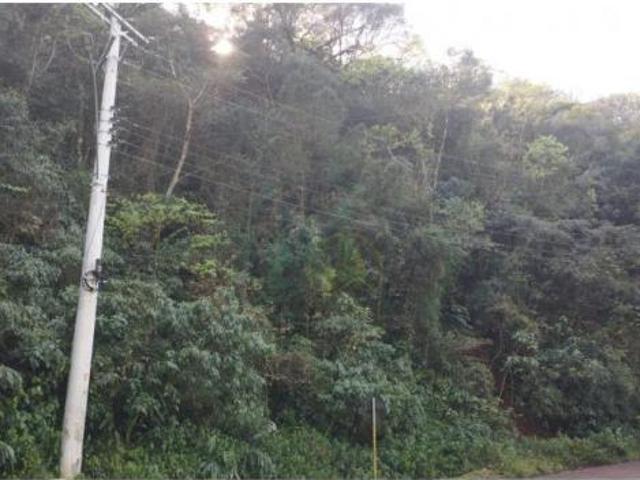 Terreno Rural à venda com 71.100m² – Documentado e com acesso asfaltado – São João, Canela/RS