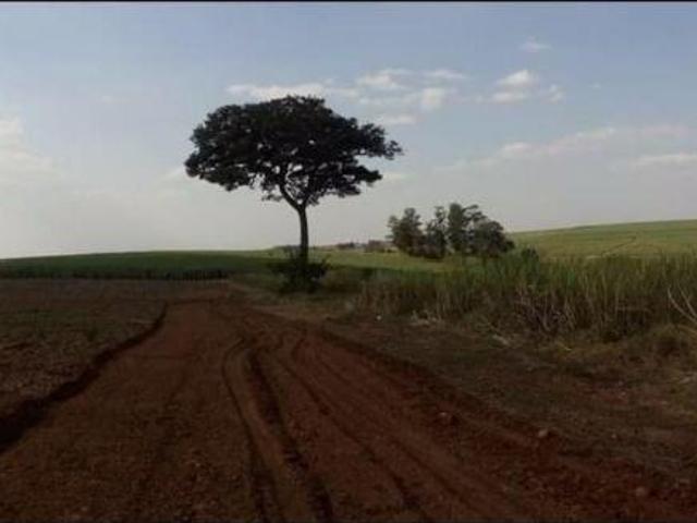 Terreno Rural à venda, Centro, Rio das Pedras TE0546