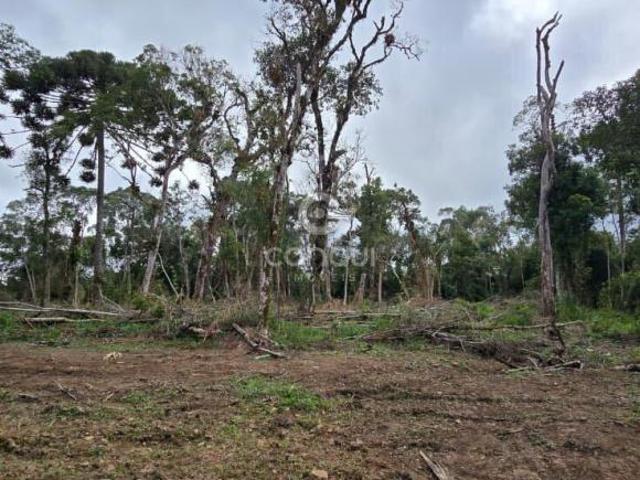 Chácara à venda em Tijucas do Sul