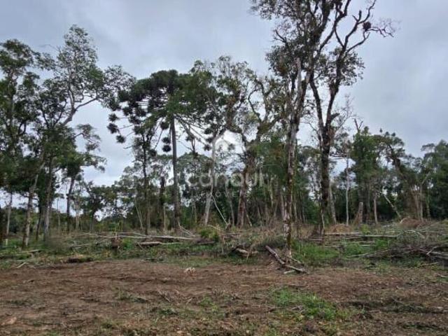 Terreno rural à venda em Tijucas do Sul