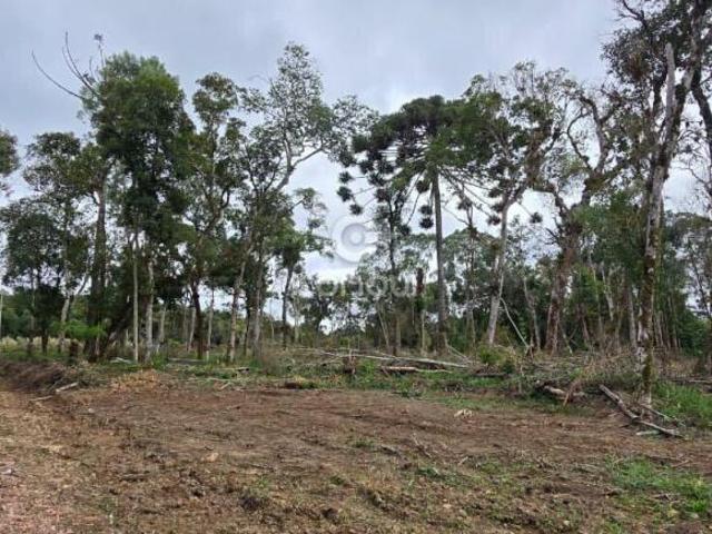 Terreno rural à venda em Tijucas do Sul
