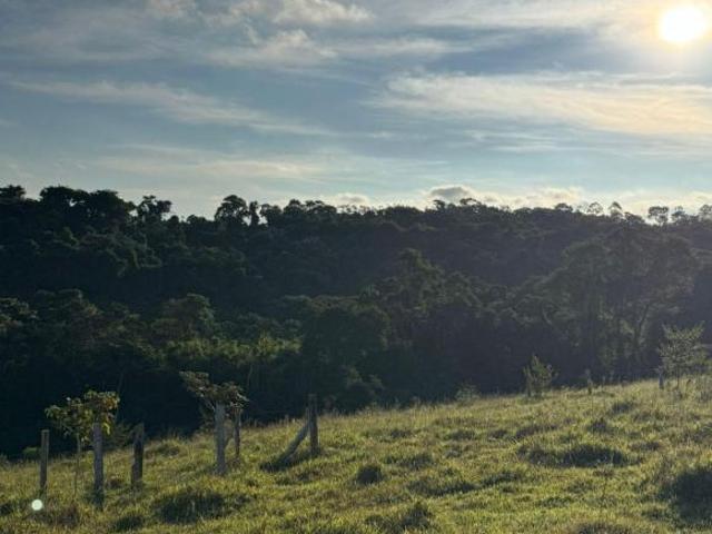 Terreno Rural com Matricula Registrada Faz Velha Pinhalzinho SP
