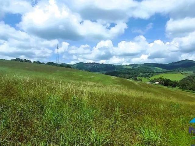 Terreno Rural com Nascente e Reserva Florestal em Brasópolis