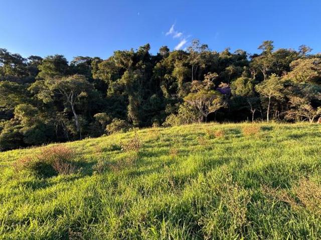 TERRENO RURAL COM NASCENTE E VISTA PARA MONTANHAS
