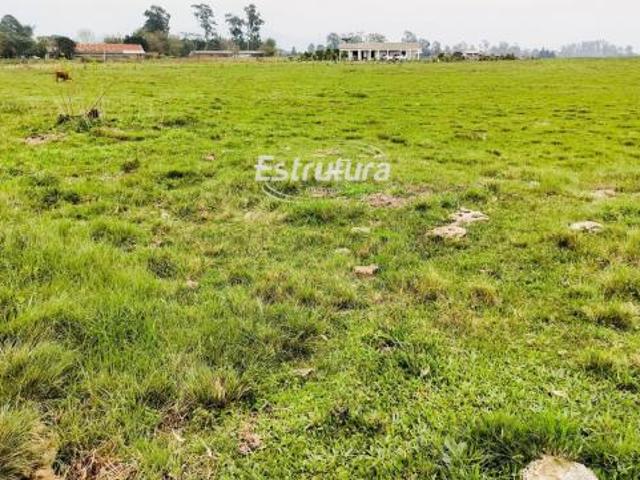 Terreno rural de 2 hectares