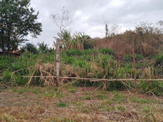 Terreno rural de 6000 m² à venda em Poste