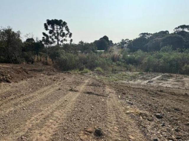 TERRENO RURAL DENOMINADO SÍTIO FAZENDA RIO SECO, PAPANDUVA