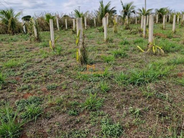 Terreno, Rural, Elias Fausto, SP