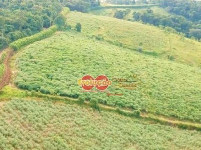 Terreno Rural/ Iara