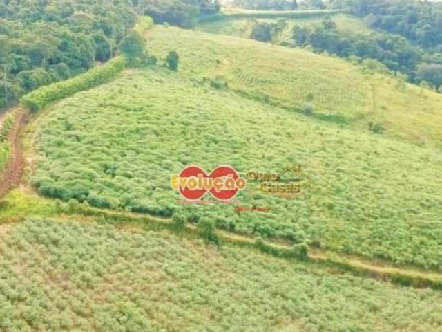 Terreno Rural / Iara
