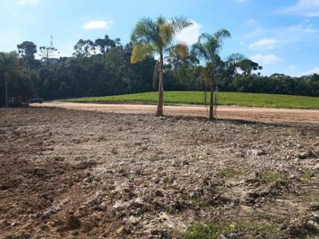 Terreno rural para chacara à venda, salgadinho, CAMPO LARGO PR