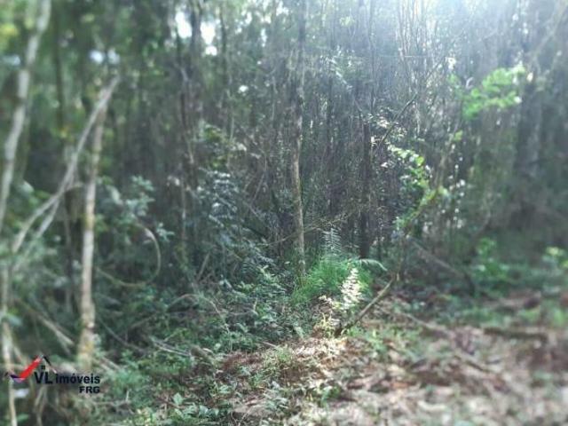 TERRENO RURAL para formar chácaras em Quitandinha PR