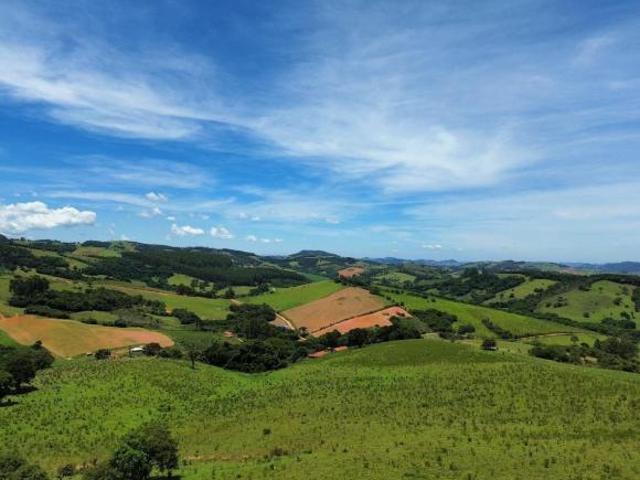 Terreno Rural para Venda em Bueno Brandão