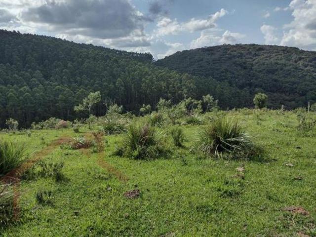Terreno Rural para Venda em Santa Branca, Mambuca