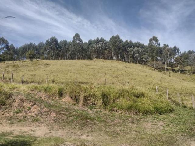 Terreno Rural para Venda em Santa Branca, Fonseca