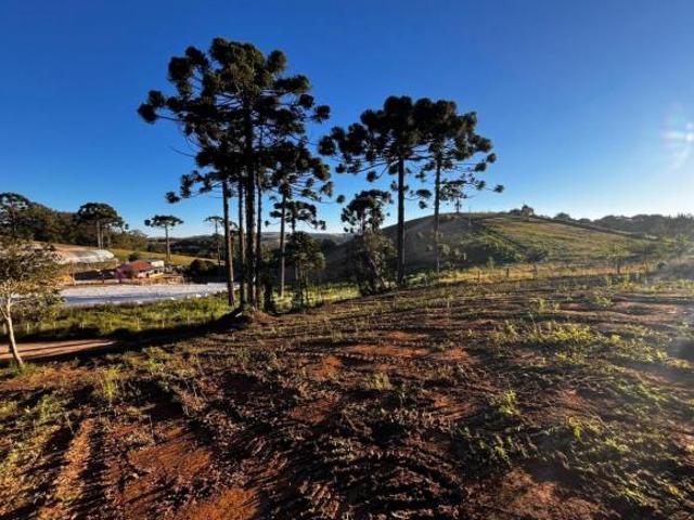 Terreno Rural para Venda em Senador Amaral