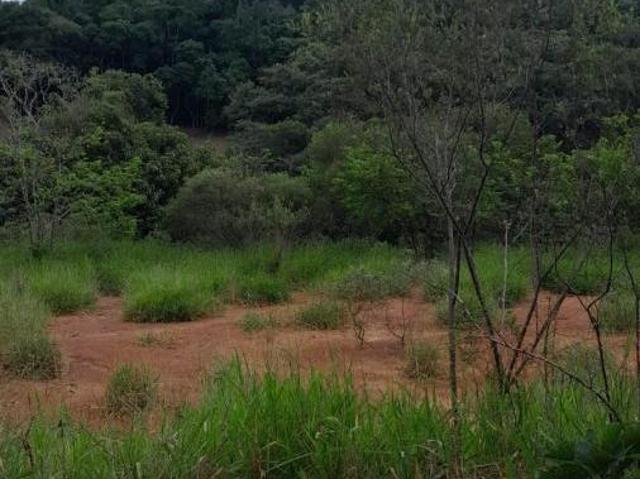 Terreno Rural para Venda em Pinhalzinho, Vargem Grande