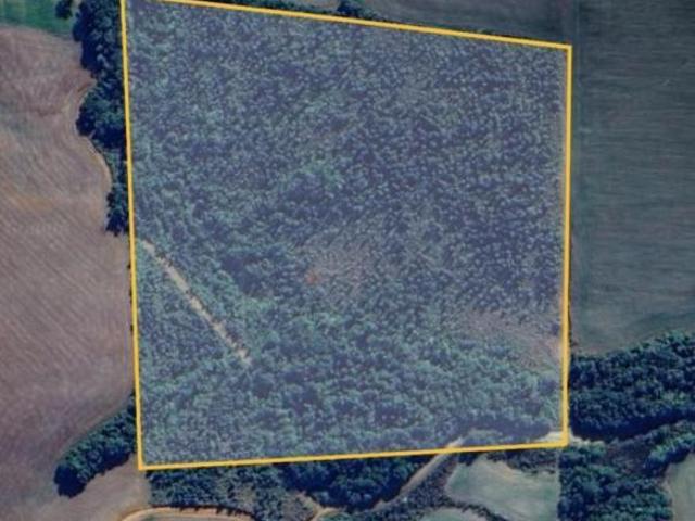 Terreno Rural para Venda em Prudentópolis, Zona Rural