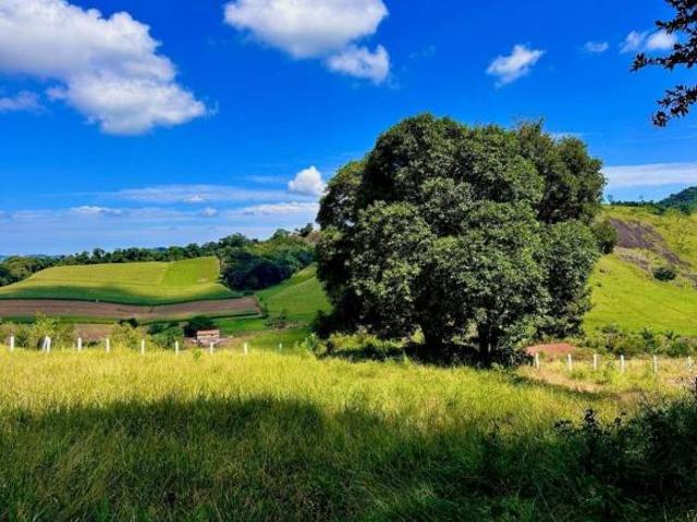 Terreno Rural para Venda em Toledo, Moinho