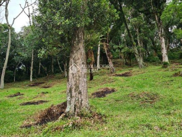 Terreno rural preço de ocasião!