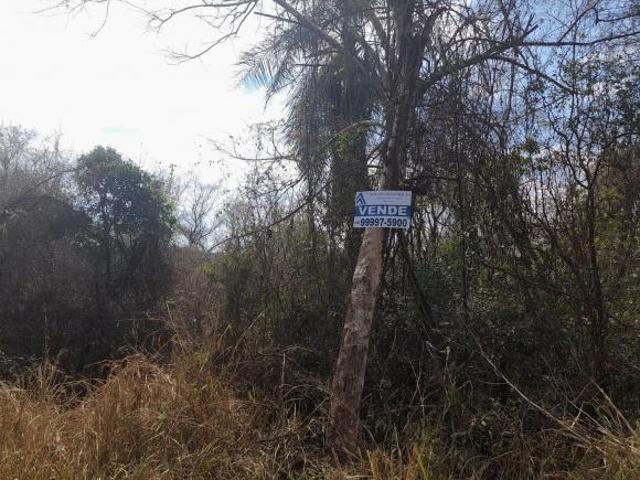 Terreno Rural