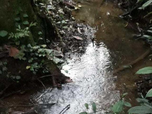Terreno Rural 20 mil m2 com mata natva e riacho