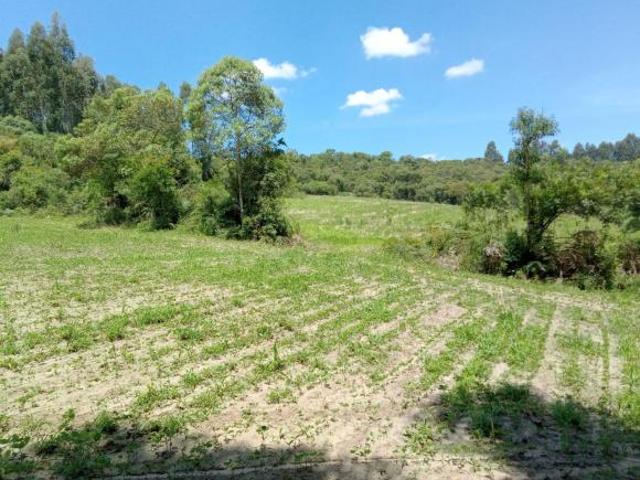 Terreno rural