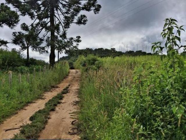 Terreno Rural 3,5 Alqueires em Paraisópolis MG