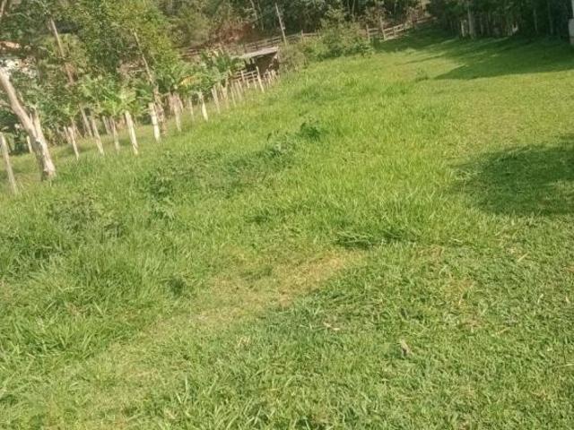 terreno rural 500 m² Pilões Guaratinguetá São Paulo