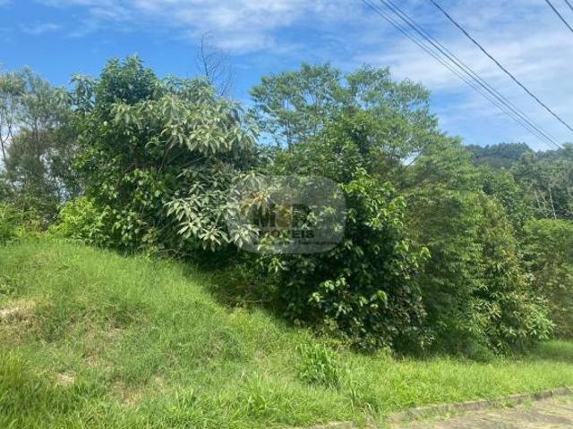 Terreno, Recanto dos Plátanos, Nova Petrópolis, RS