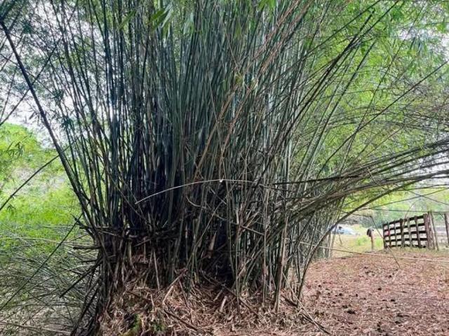 Terreno recanto da Serra