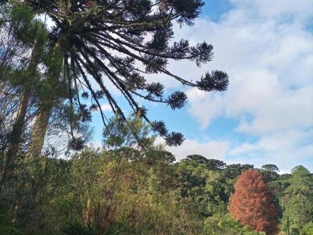 TERRENO RECREIO DA SERRA