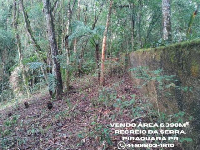 TERRENO RECREIO DA SERRA