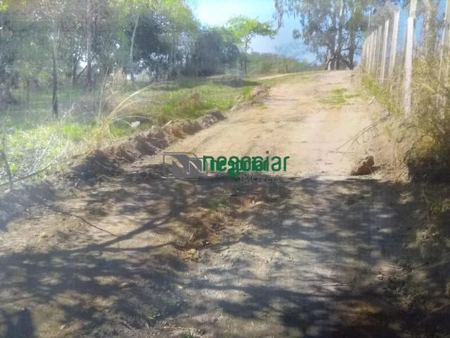 Terreno / Área no bairro Pingo D Água Betim