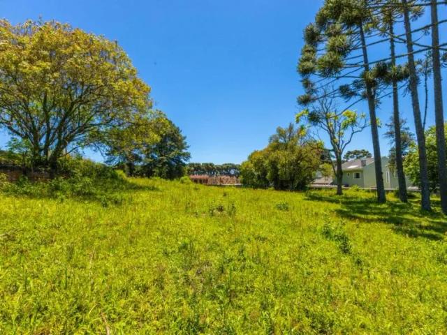 Terreno/Área no Santa Felicidade de 1800,00 m² 94424.001 KD