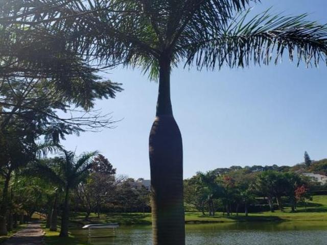 TERRENO RESEDAS