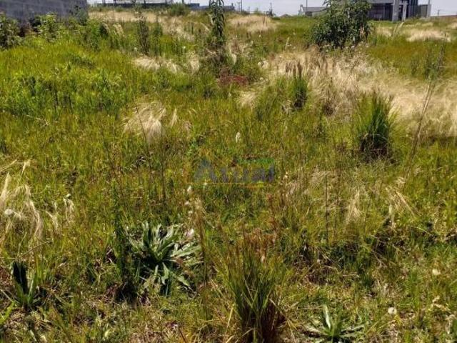 Terreno, Reserva das Missões, Santo Ângelo, RS