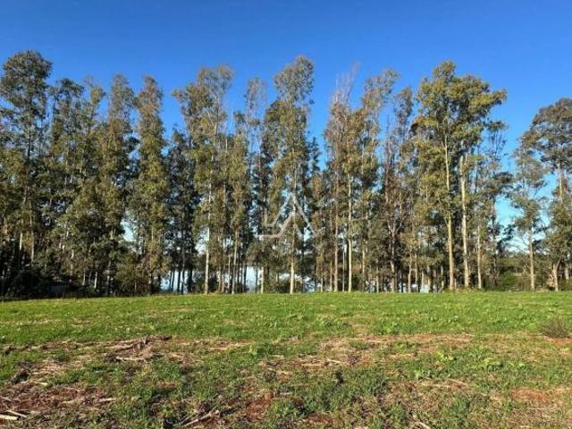 TERRENO RESIDENCIAL | NICOLAU VERGUEIRO/RS