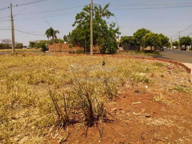 Terreno Residencial ou Comercial Venda Residencial Caetano