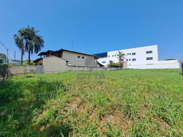 Terreno residencial ou comercial a venda no bairro Nova Campinas, Campinas/SP