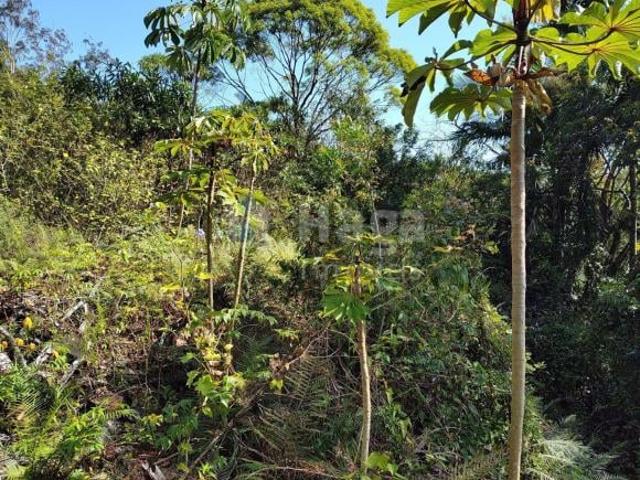 Terreno residencial ou comercial no bairro Primeiro de Maio em Brusque/SC