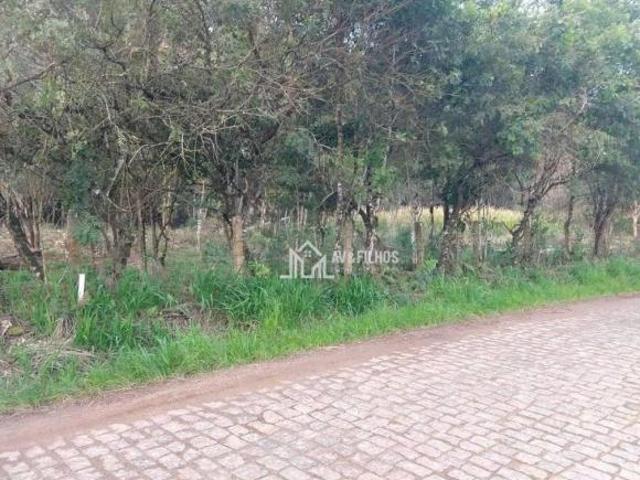Terreno Residencial à venda, Centro, Bocaiúva do Sul TE0040
