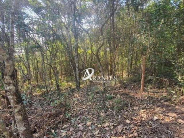 Terreno Residencial à venda, Centro, Jarinu TE0049