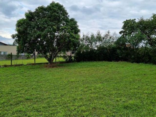 Terreno Residencial à venda, Centro, São Pedro TE0385