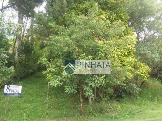 Terreno residencial à venda, Centro, Vinhedo
