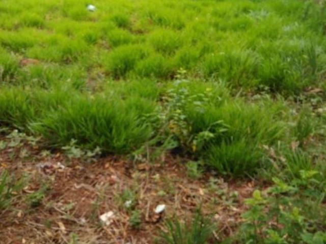 Terreno Residencial à venda, Atibaia Jardim, Atibaia TE0475