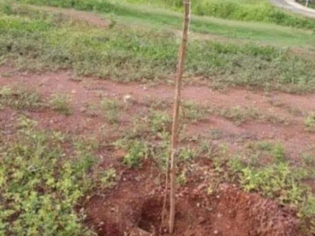 terreno residencial à venda em residencial santo antônio, piracicaba