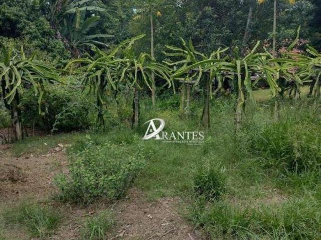 Terreno Residencial à venda, Estância Santa Maria do Portão, Atibaia TE0199