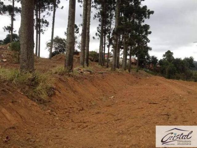 Terreno Residencial à venda, Jardim Sandra, Cotia