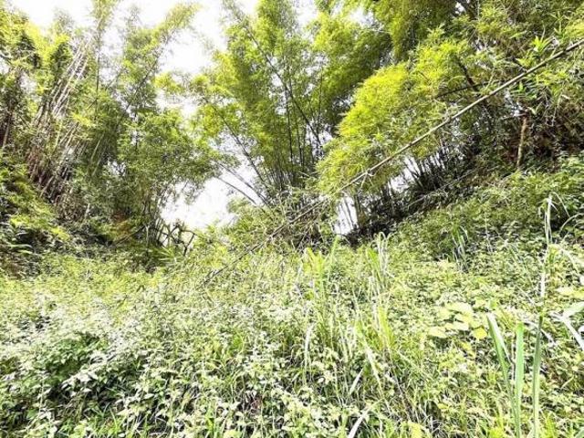 Terreno Residencial à venda, Morro de Nova Cintra, Santos TE0034